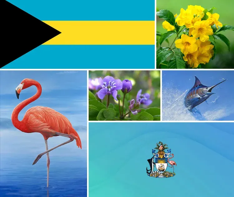 National Symbols | Bahamas ACP Secretariat