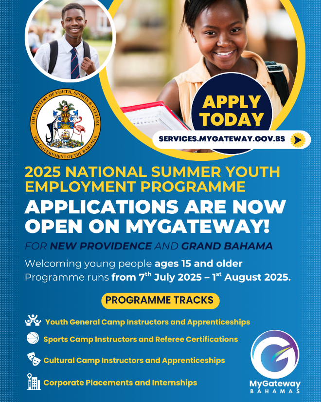 2025 National Summer Youth Employment Programme