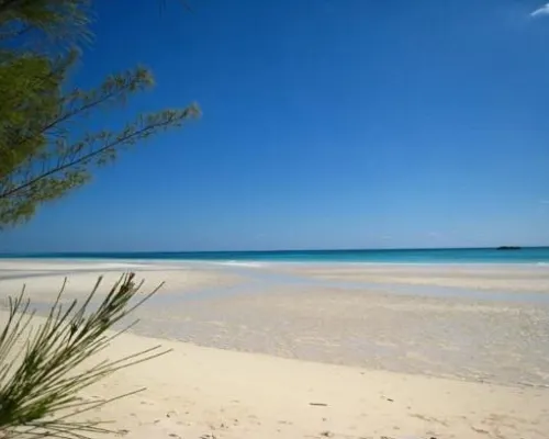 Grand Bahama Island Information