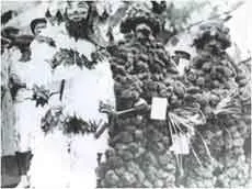 Junkanoo – A Cultural Celebration of The Bahamas